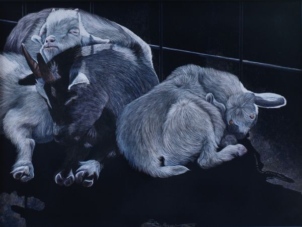 Originals Sally Maxwell Master Scratchboard Artist